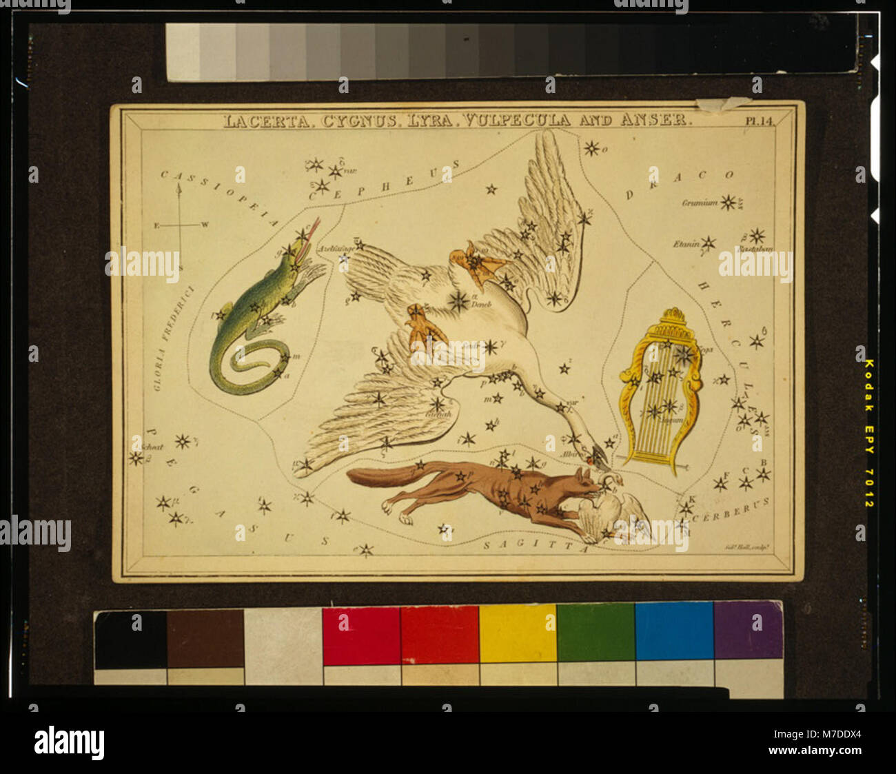 This sculpture by Sidy Hall depicts the constellations Lacerta, Cygnus ...