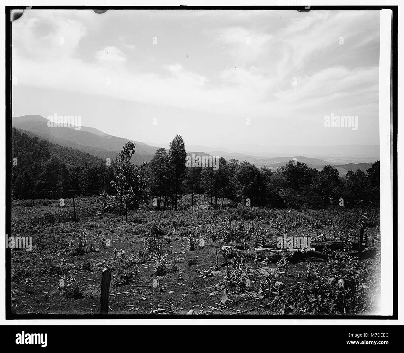 American national highway association hi-res stock photography and ...