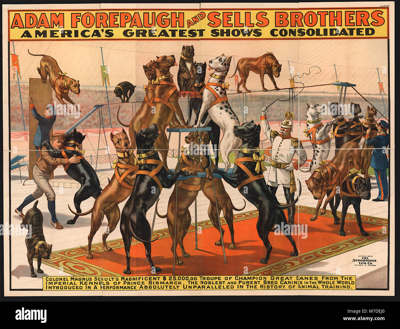 A promotional image for the Adam Forepaugh and Sells Brothers Circus ...