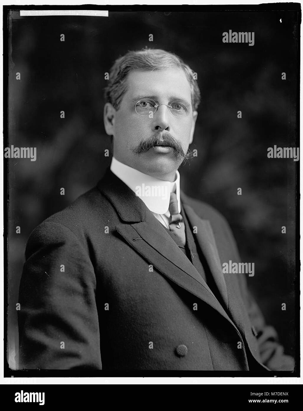 A portrait of Honorable S. Lewis, reflecting his significance in ...