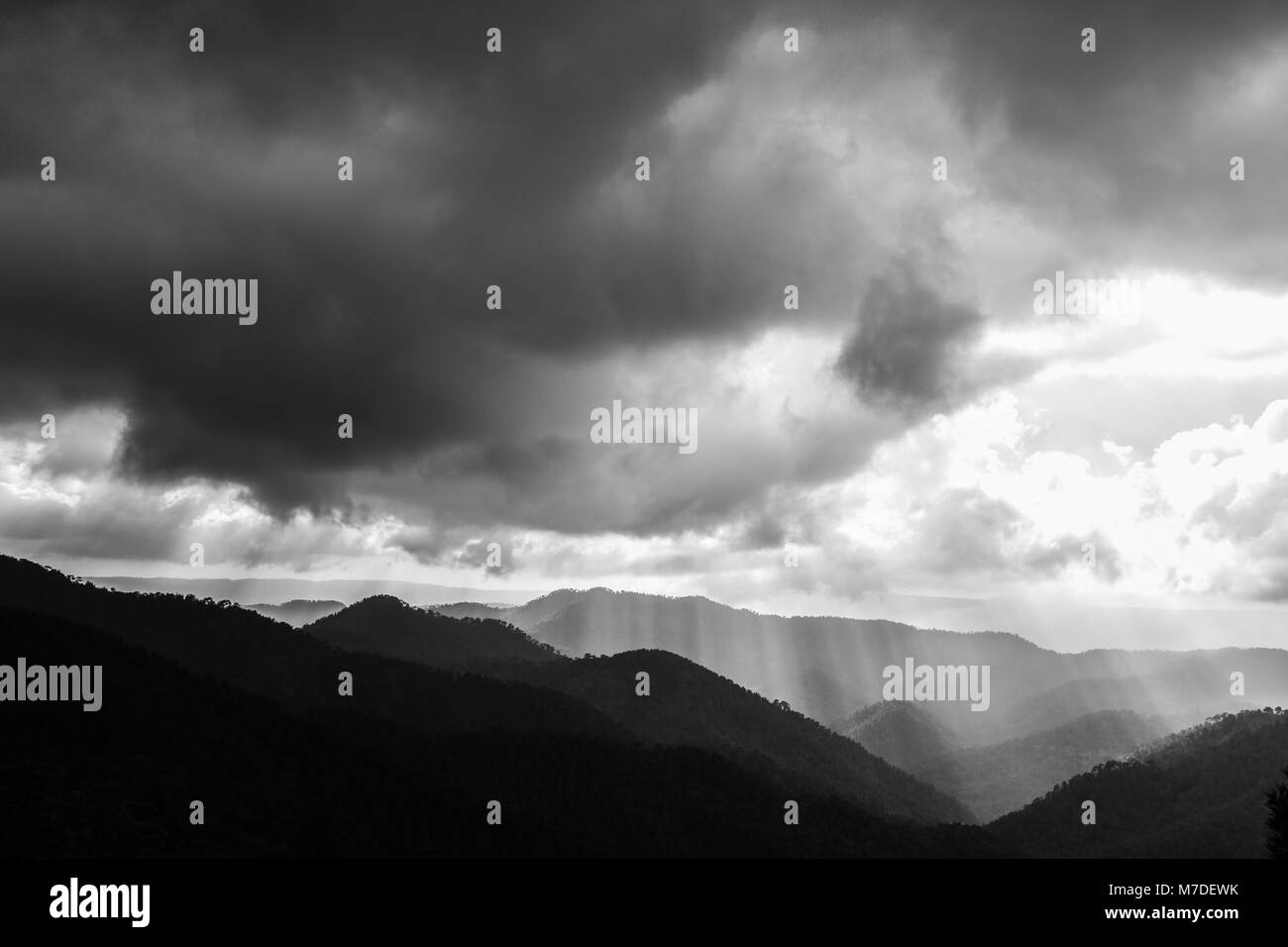 Light sunbeams Black and White Stock Photos & Images - Alamy
