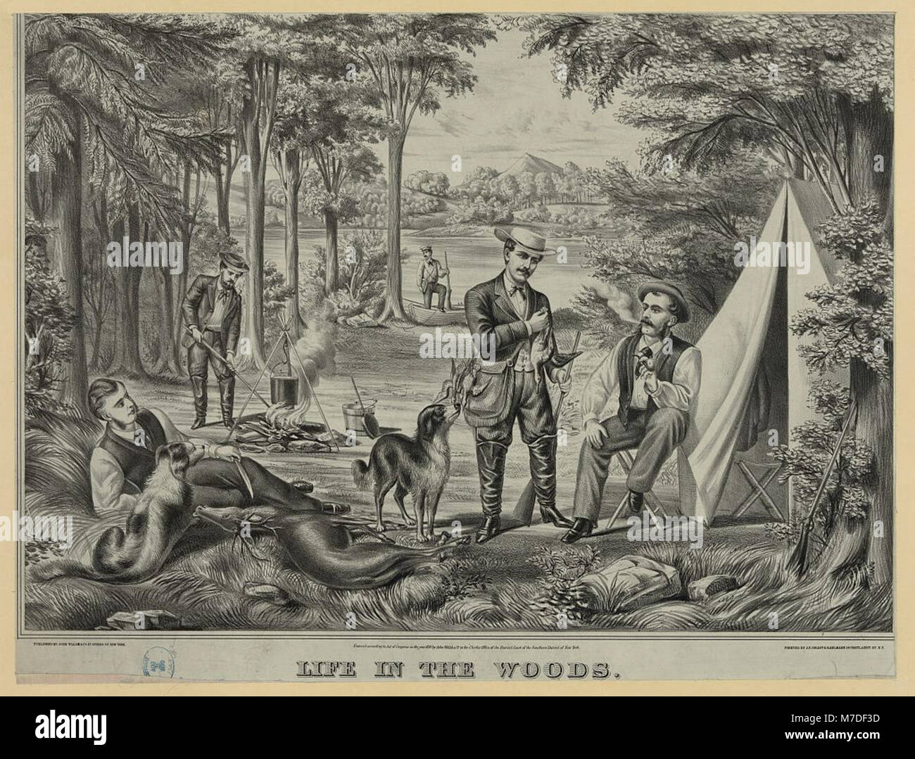 A depiction of life in the woods, showcasing rural or wilderness living ...