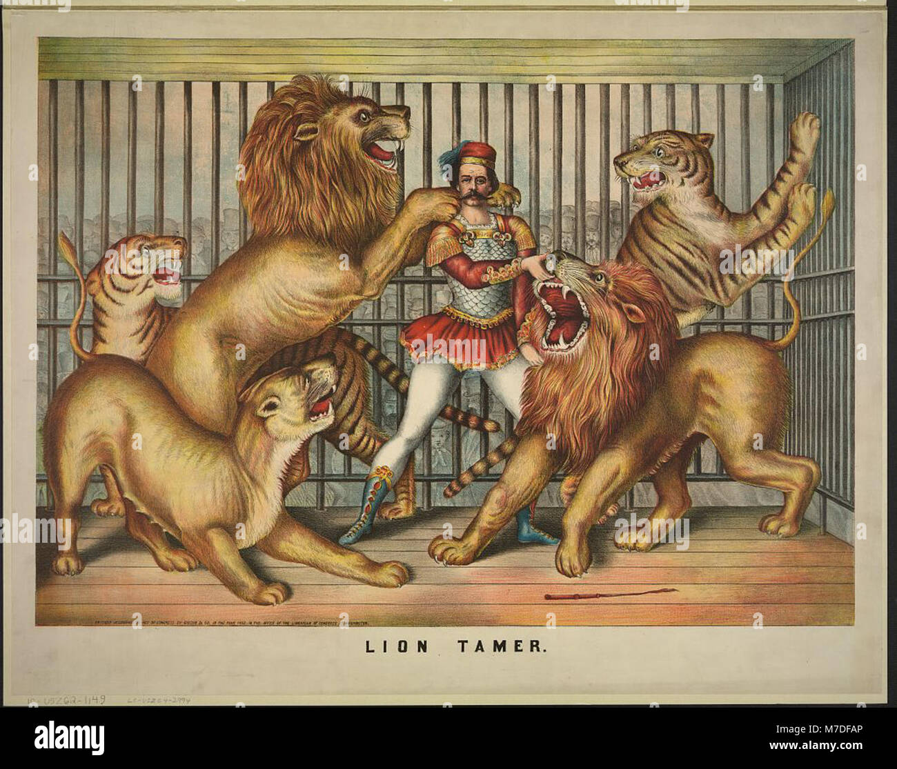 A photograph of a lion tamer performing with a lion, highlighting the ...