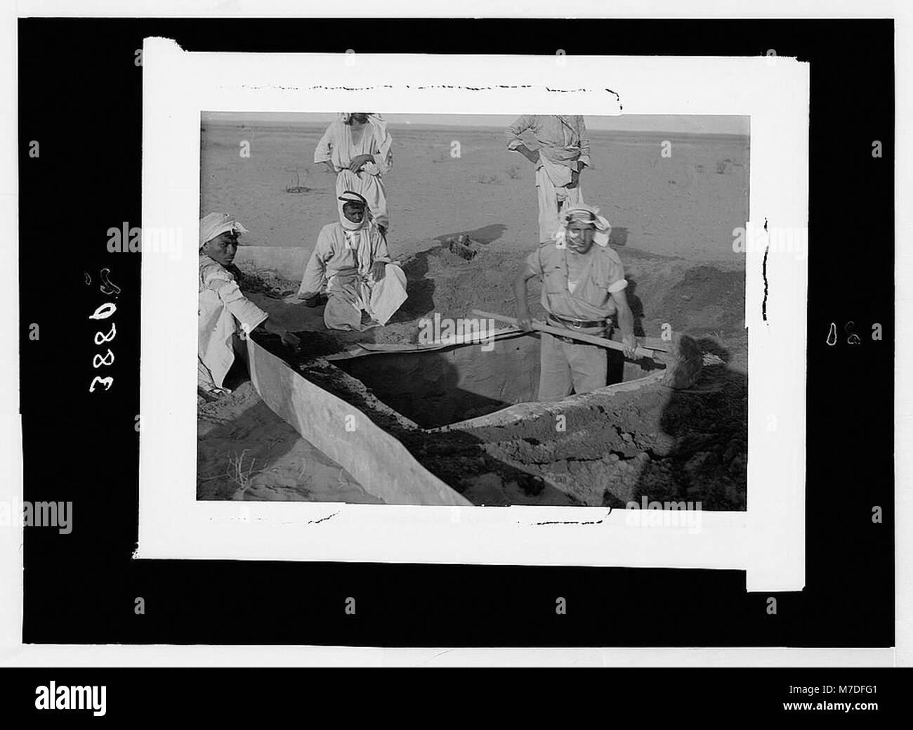 Locust plagues in Palestine. Methods of fighting the locust plague. A ...