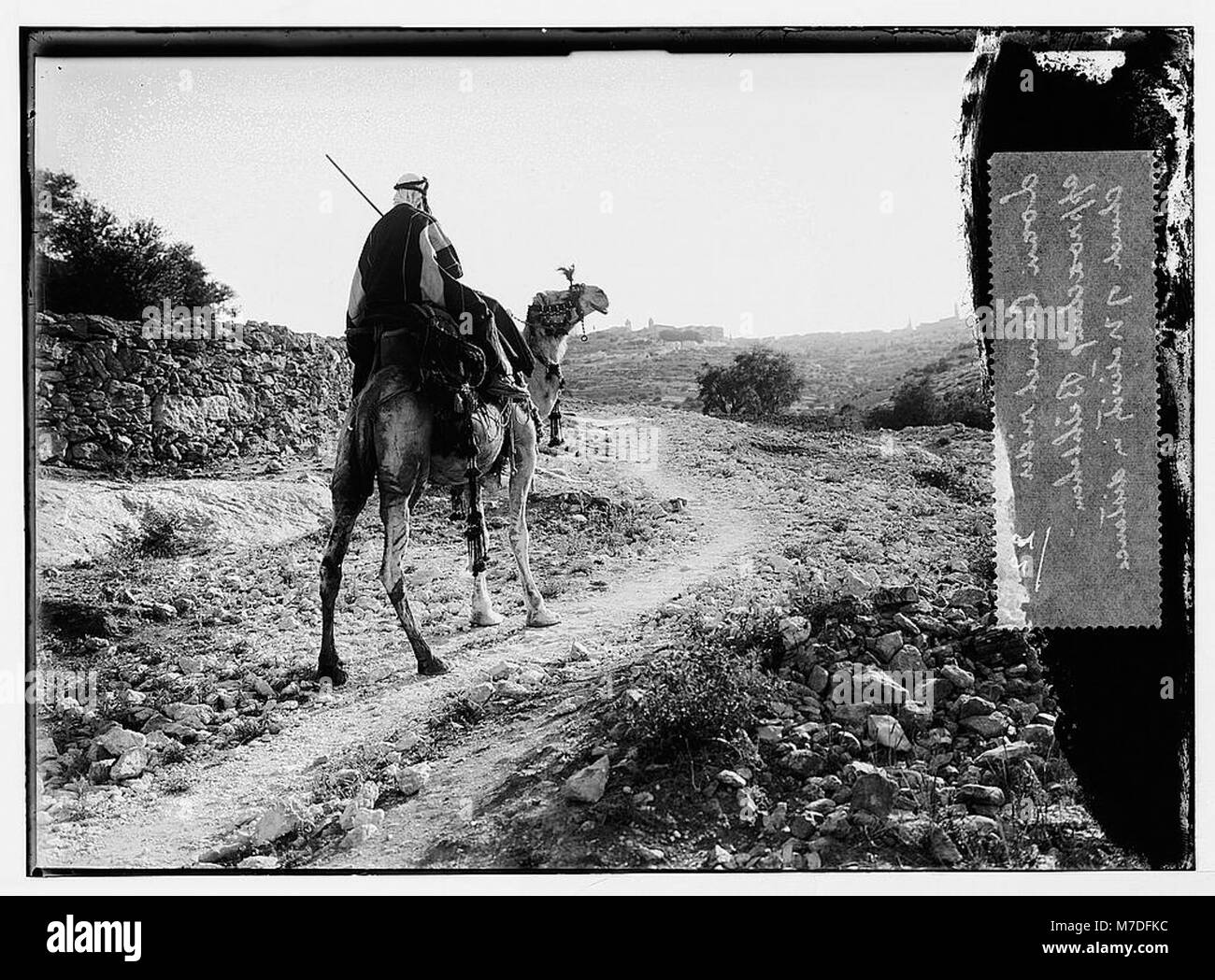 Camel in bethlehem hi-res stock photography and images - Alamy