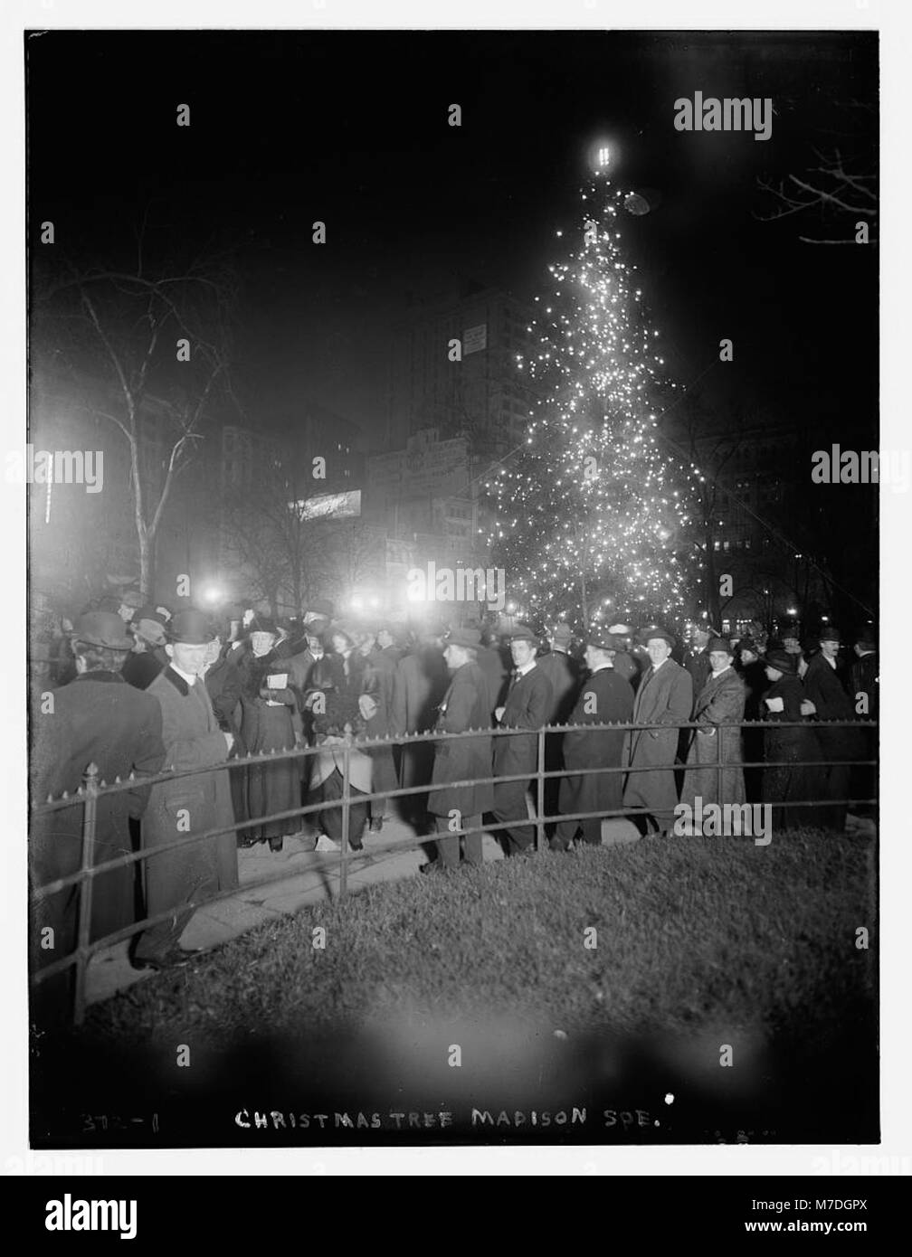 Madison square christmas tree hi-res stock photography and images - Alamy
