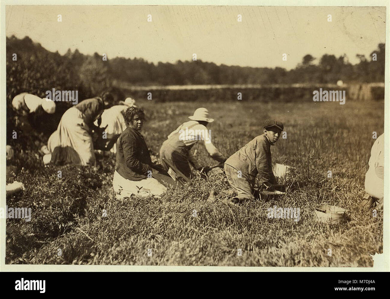 A portrait of Mary Birch with her two sons, John (14) and Tony (10 ...