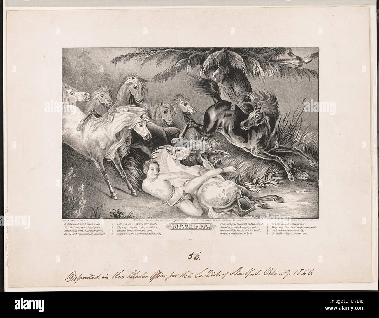 The artwork 'Mazeppa - pl. 3' depicts a dramatic scene from the legend ...