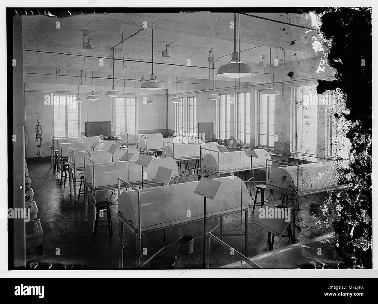1900's medical students hi-res stock photography and images - Alamy