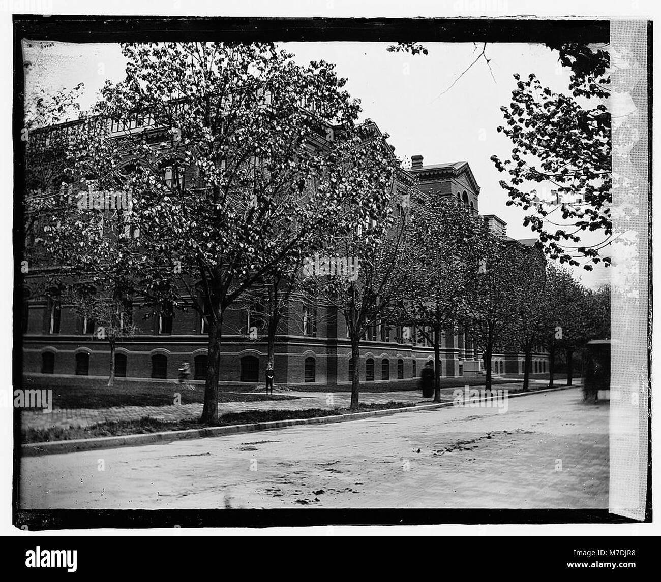This image depicts a display from a medical museum, cataloged under ...