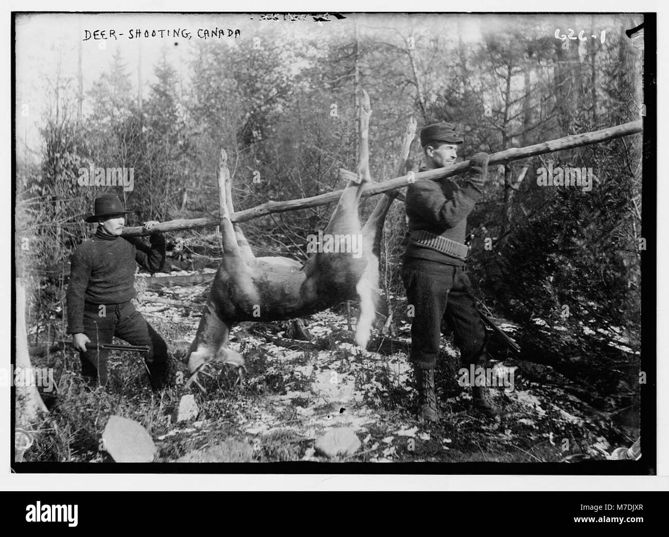 This photograph captures men in Canada carrying a shot deer on a pole ...