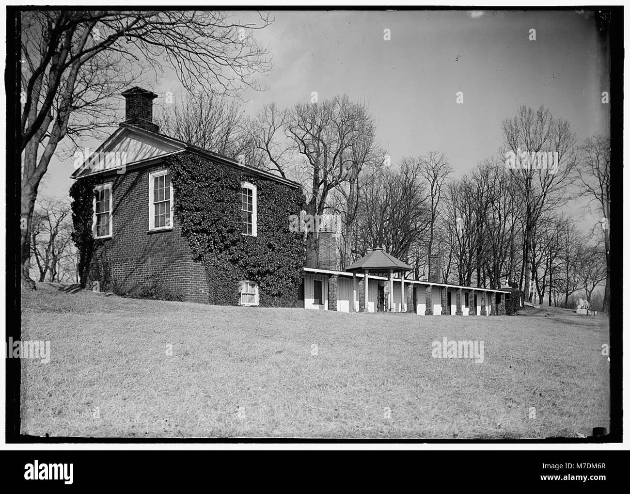 The Lower Promenade at Monticello, the plantation home of Thomas ...