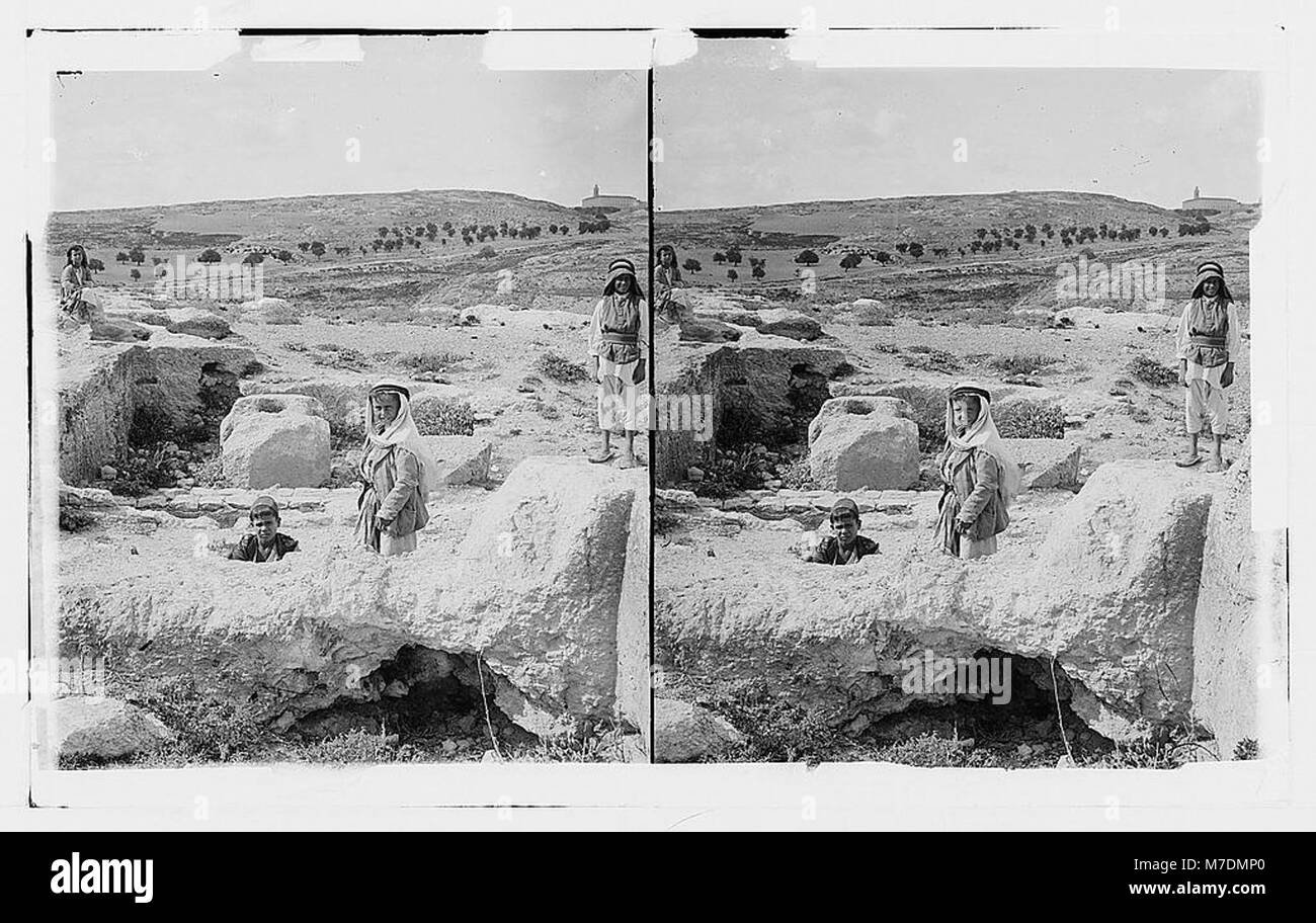 View of the Mount of Olives and nearby areas of Bethany and Bethphage ...