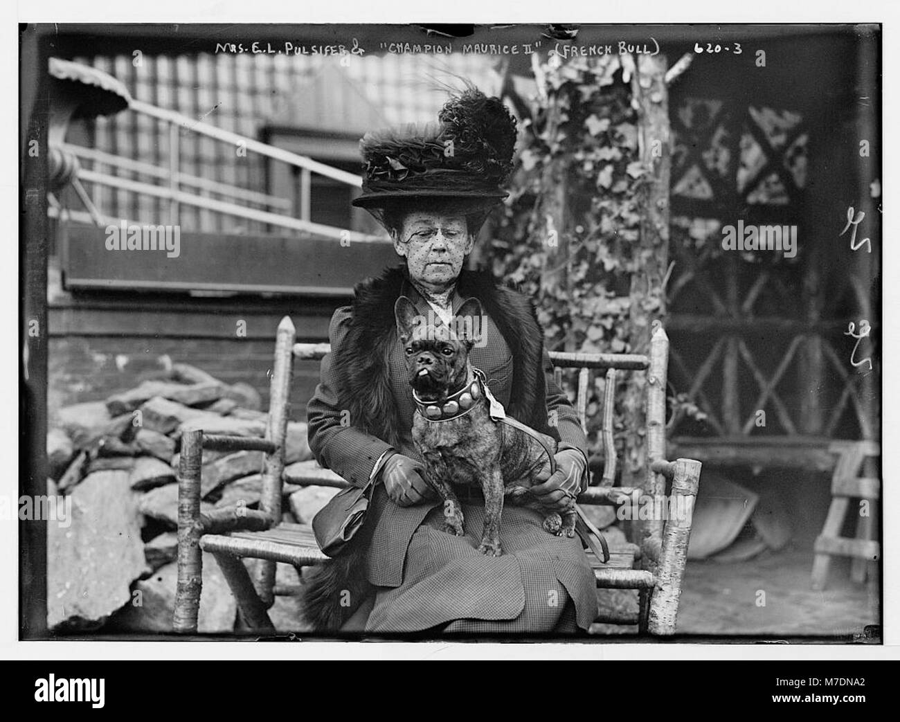 Pulsifer hi-res stock photography and images - Alamy