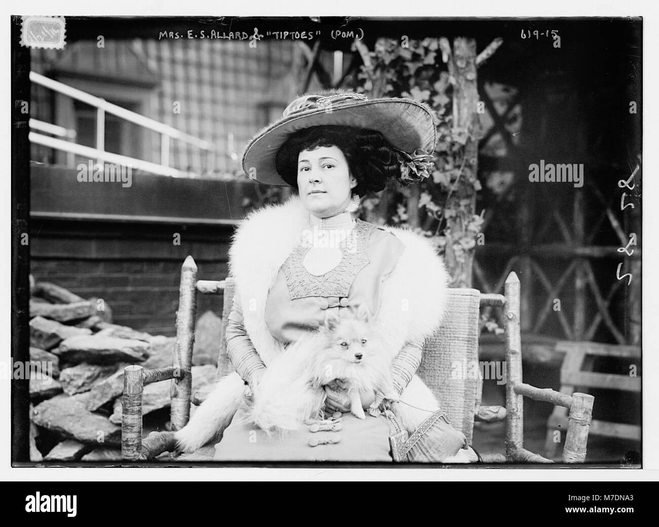 Mrs. E.S. Allard and 'Tiptoes' (Pom.) (Pomeranian dog) LCCN2014683008 ...