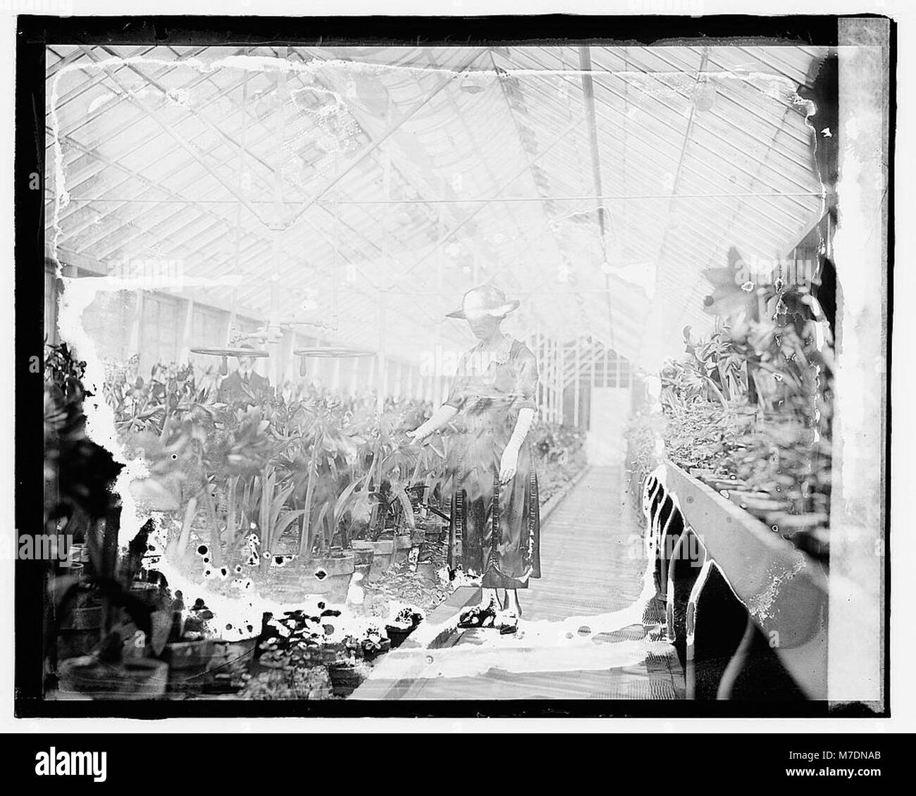 A portrait of Mrs. E.T. Meredith, depicting her as an influential ...