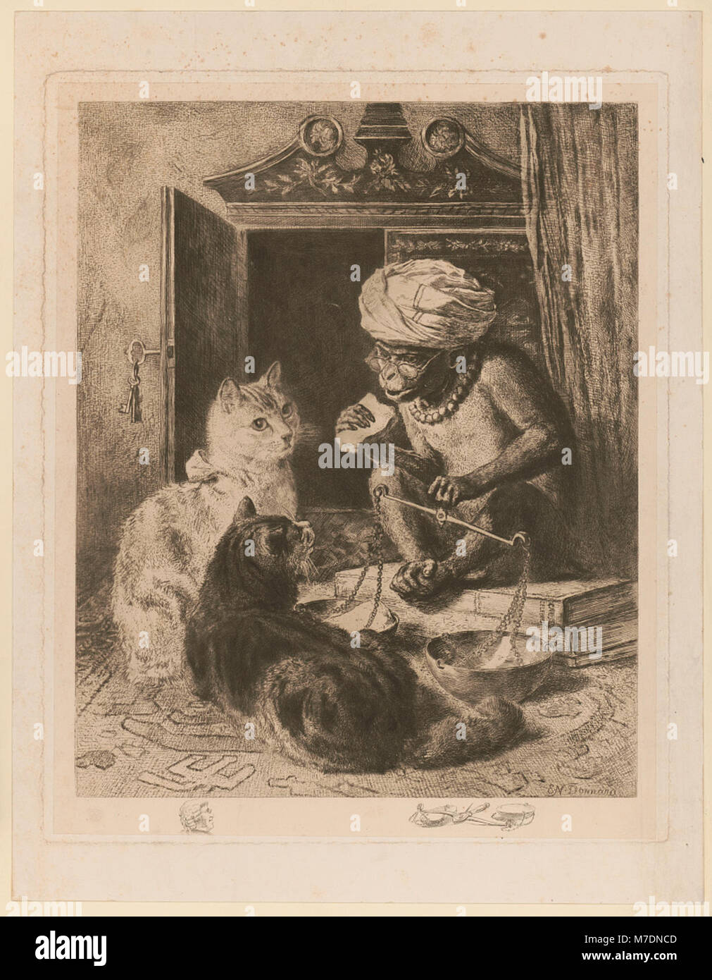 A monkey is seen with two cats in this unique photograph. The image ...