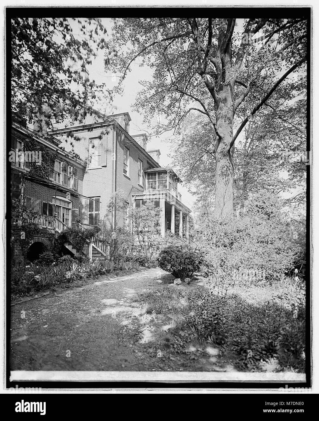 A formal portrait of Mrs. Goodwin, a prominent social figure in her ...