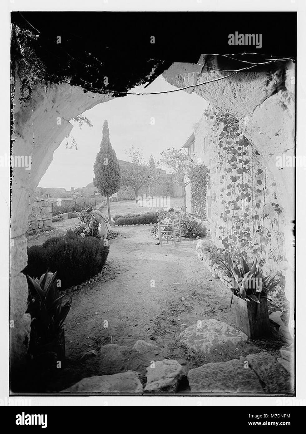 A photograph of Mrs. Matson in a garden setting in Jerusalem, capturing ...