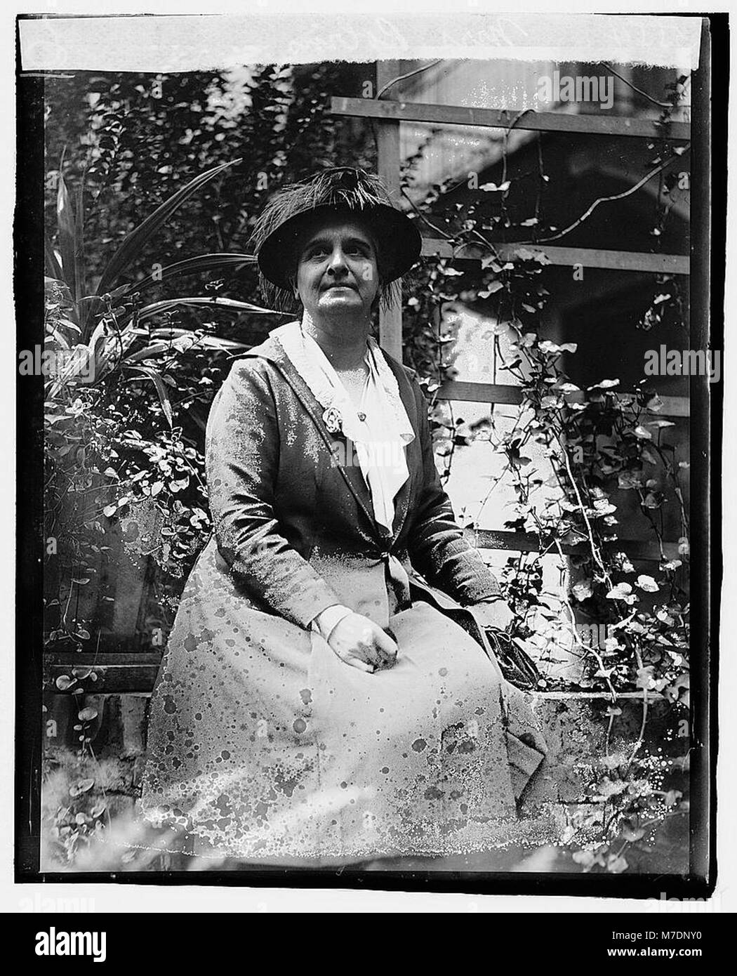 Photograph or historical document of Mrs. Robins, with the image ...
