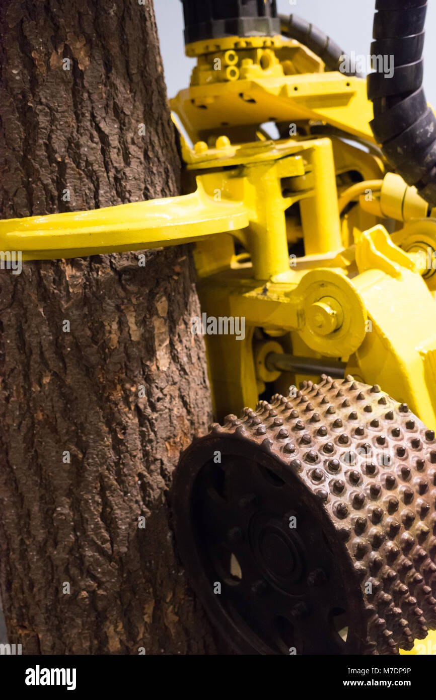 Cutting tree limb hi-res stock photography and images - Alamy
