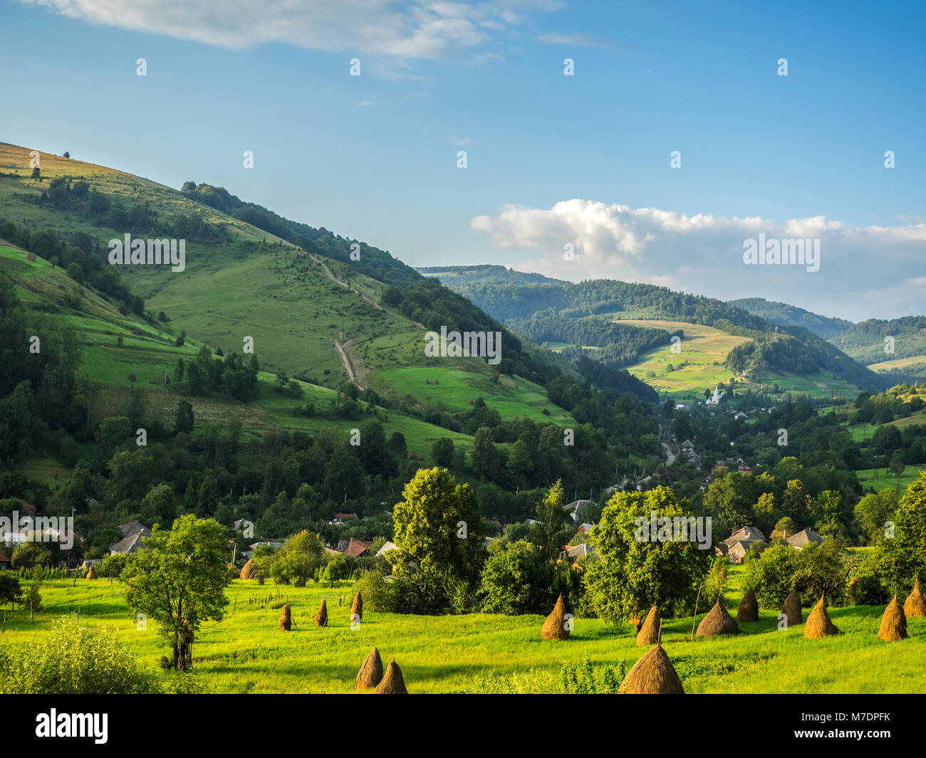 Bright rolling countryside around a farm in the morning light ...