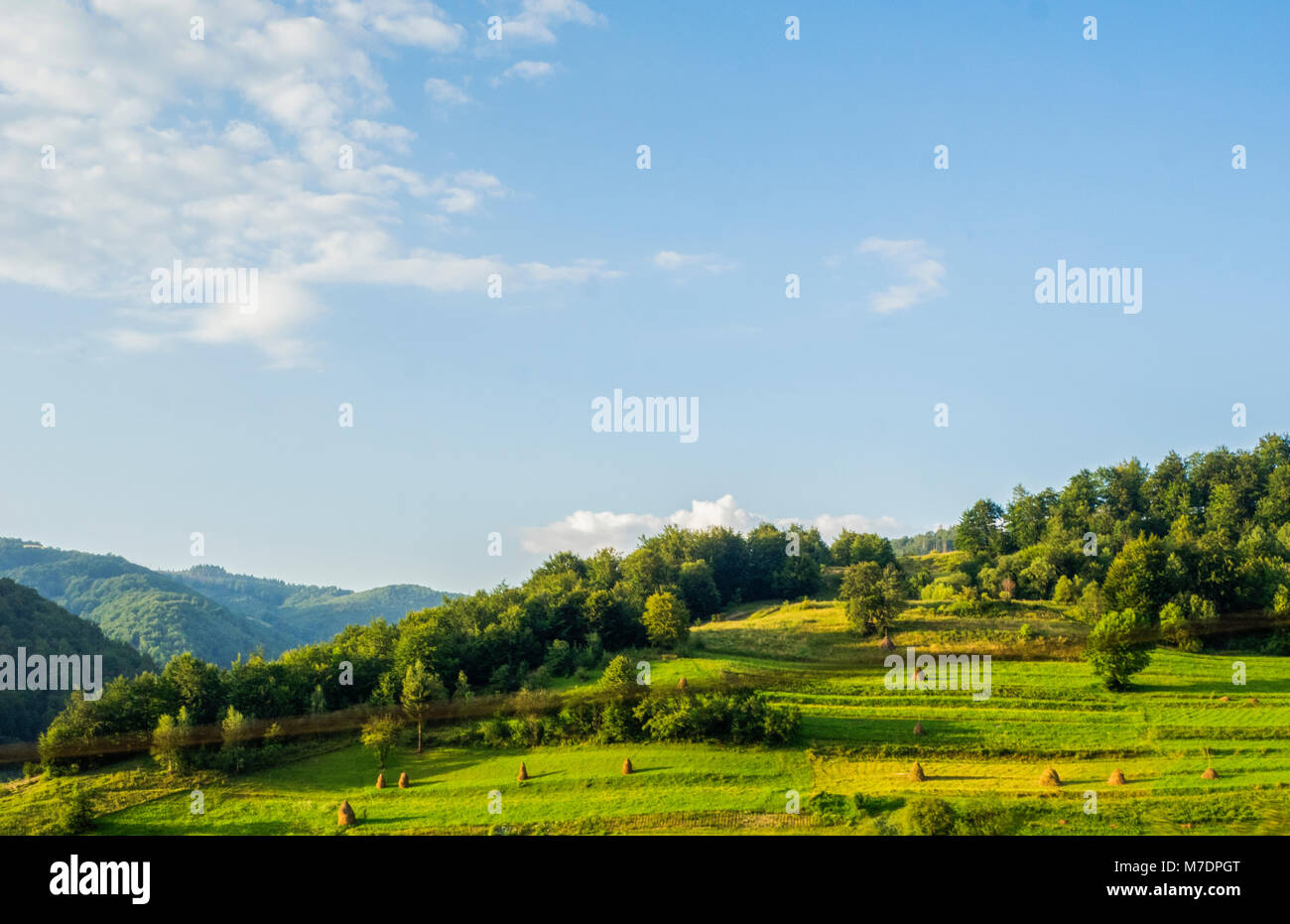 Bright rolling countryside around a farm in the morning light ...