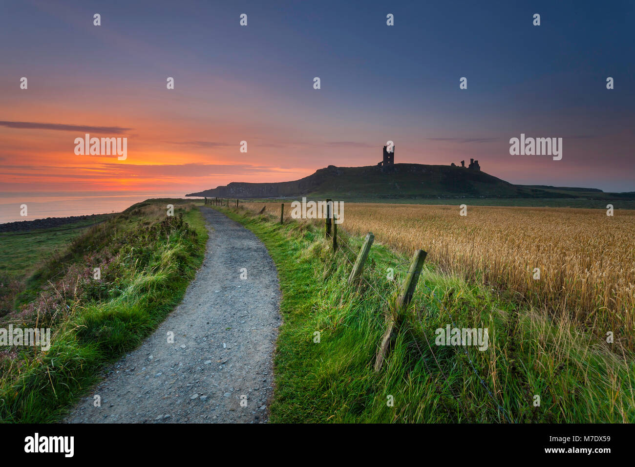Dunstanburgh castle in Northumberland Stock Photo - Alamy