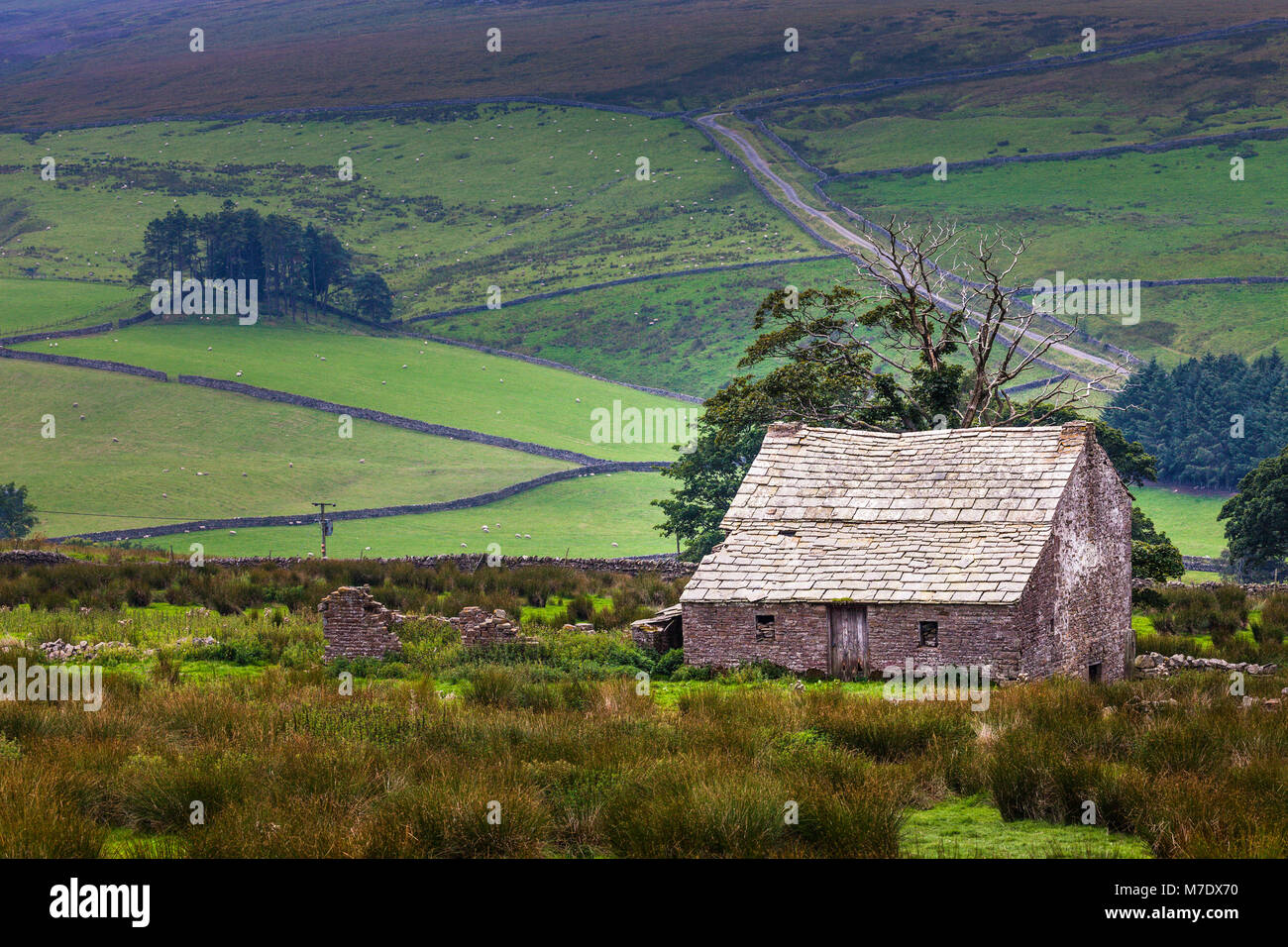 Derelict farmhouse and barn in moorland Stock Photo - Alamy