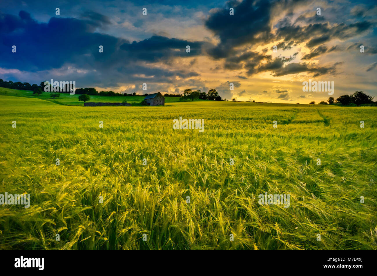 Barley barn hi-res stock photography and images - Alamy