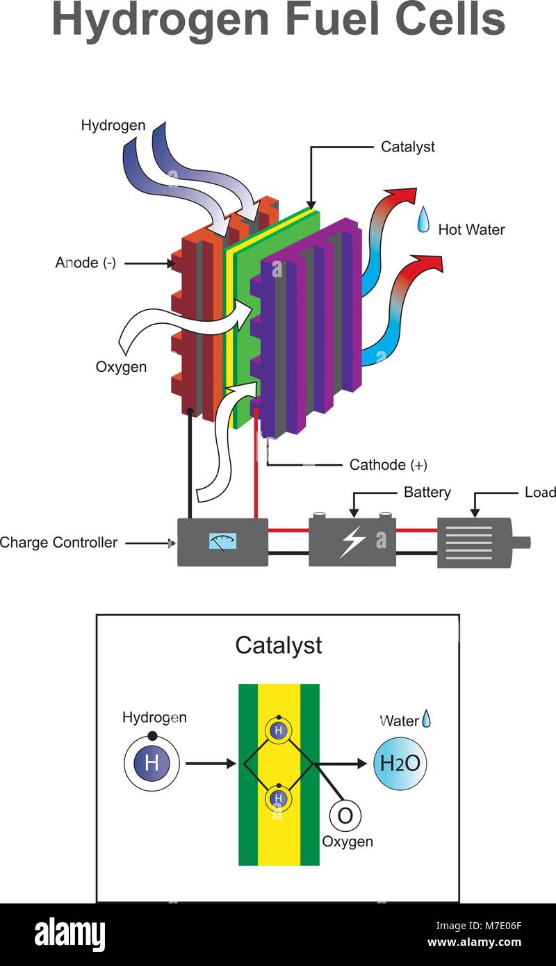 Carbon cycle diagram hi-res stock photography and images - Alamy