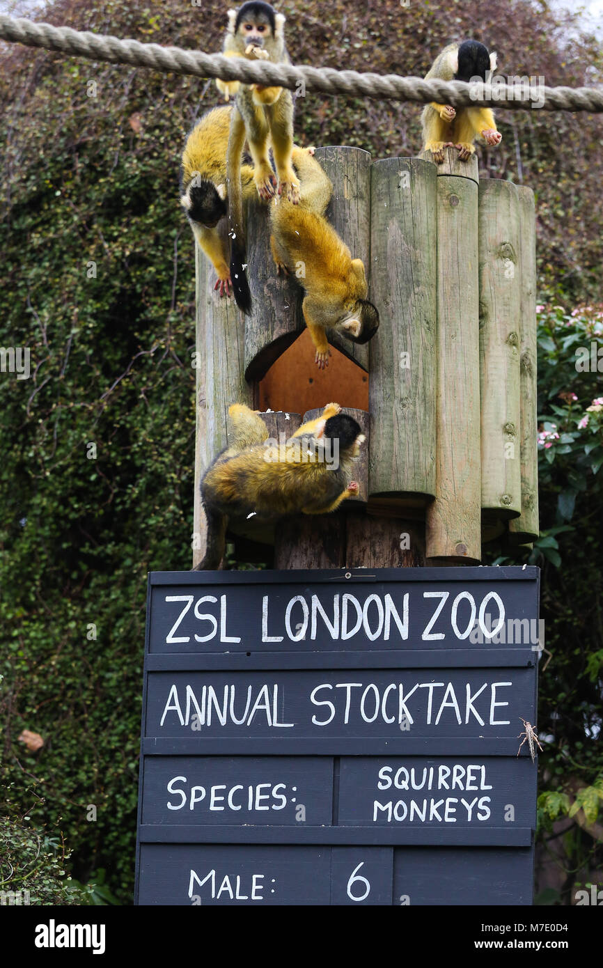 Zookeepers at Zoological Society of London (ZSL) London Zoo with their ...