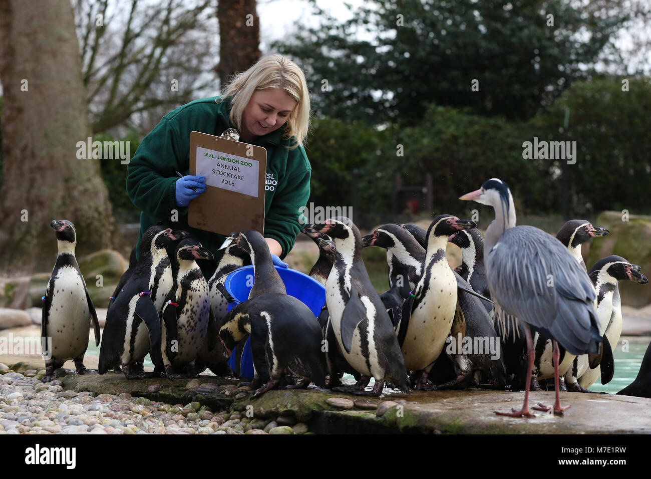 Zookeepers at Zoological Society of London (ZSL) London Zoo with their ...