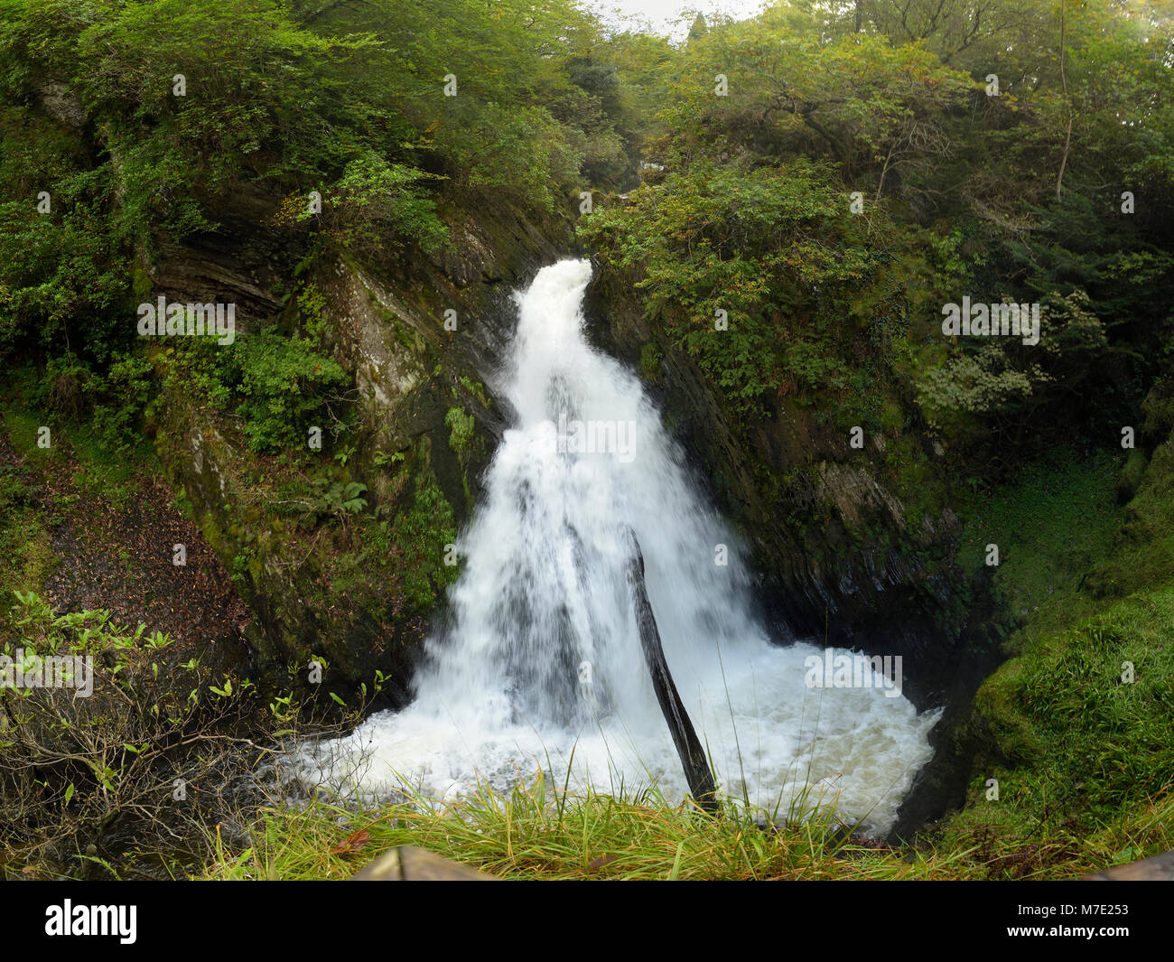A Cascade on the Mynach Falls at Devil's Bridge Stock Photo - Alamy