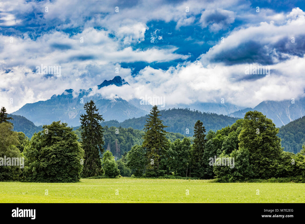 Beautiful natural landscape of the Alps. Forggensee and Schwangau ...