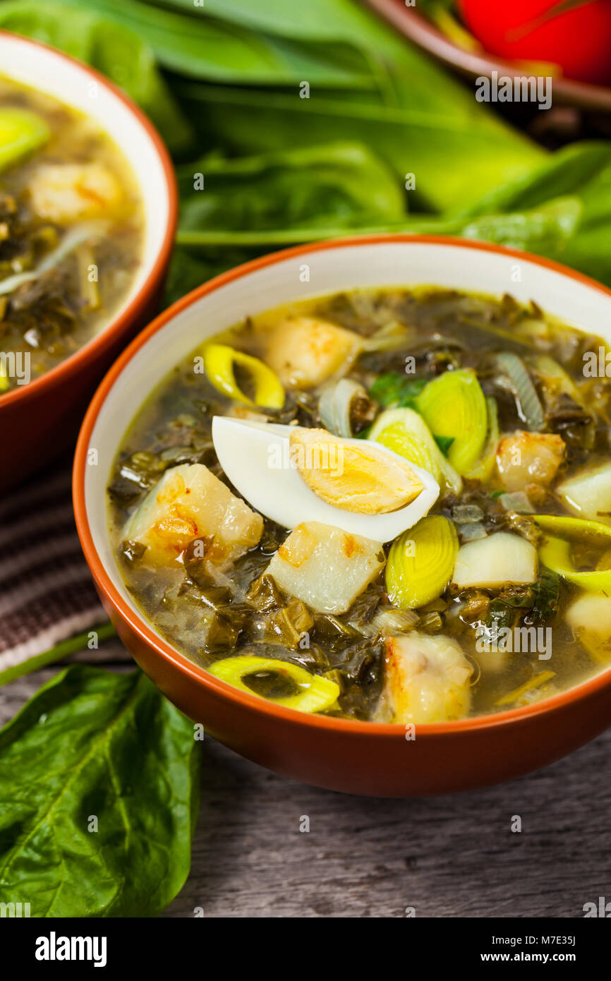 Green Russian Potato, Spinach, and Sorrel Soup with egg Stock Photo - Alamy