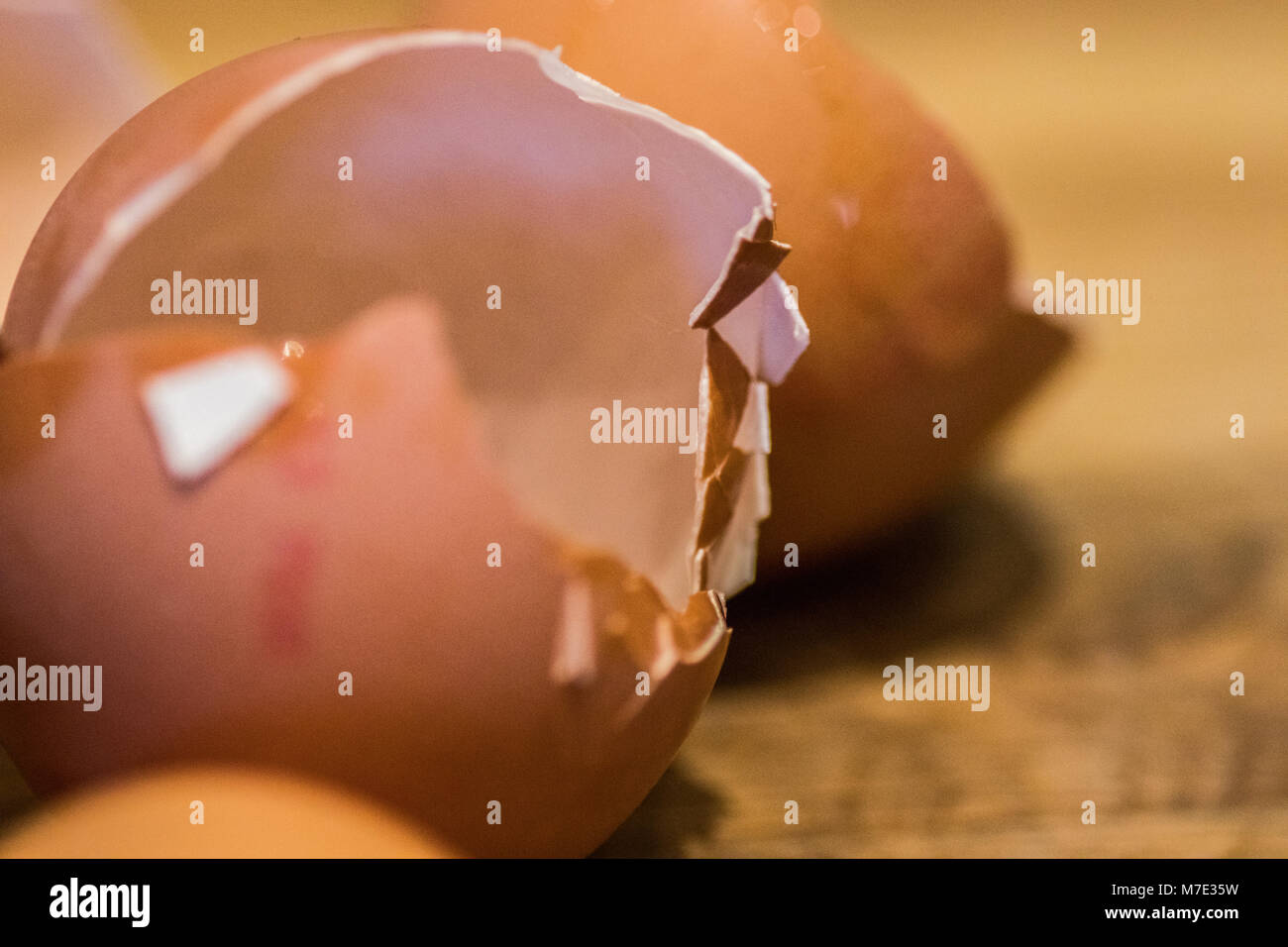 Hatched egg shell hi-res stock photography and images - Alamy