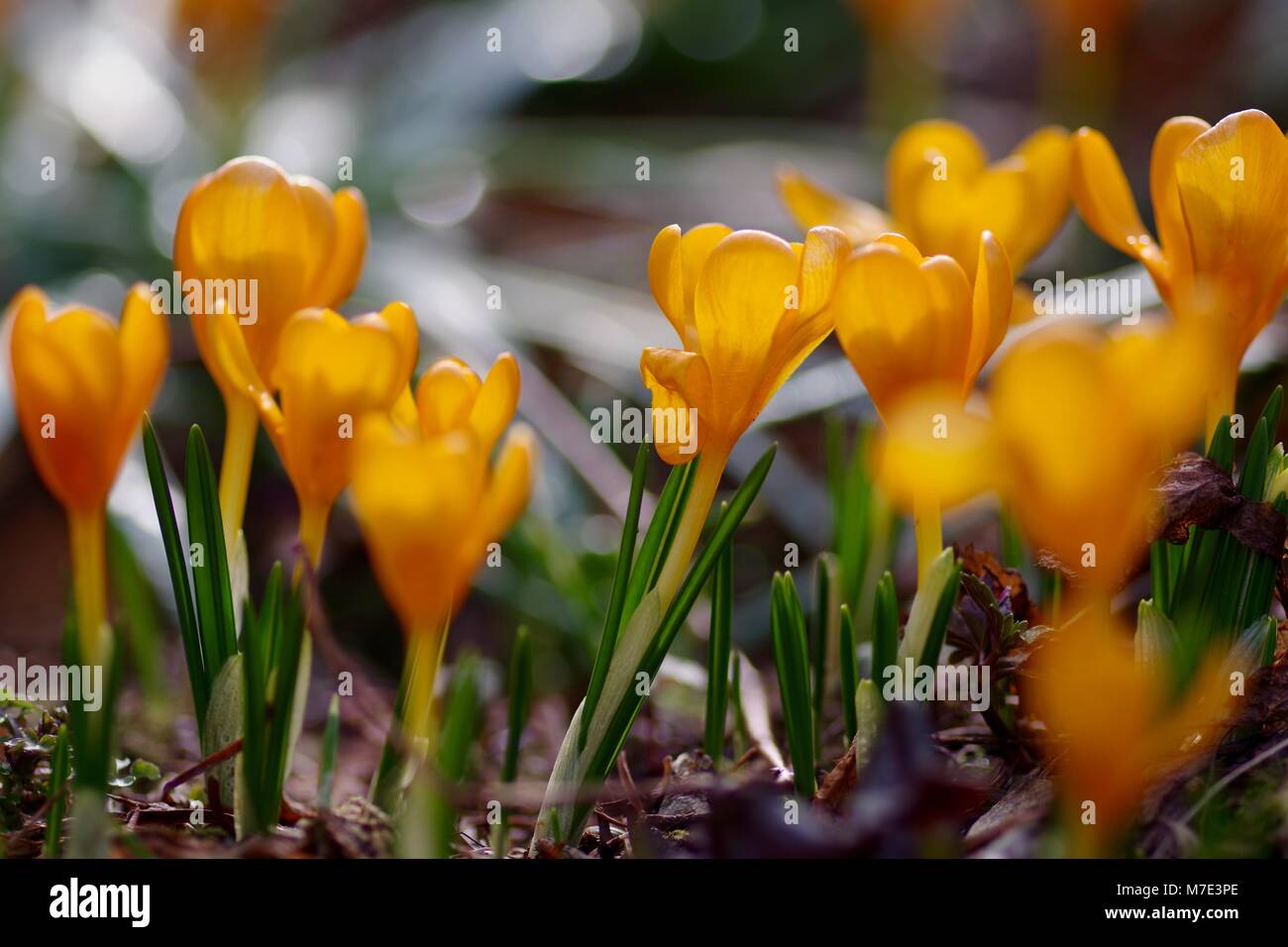 From Nw Turkey High Resolution Stock Photography and Images - Alamy