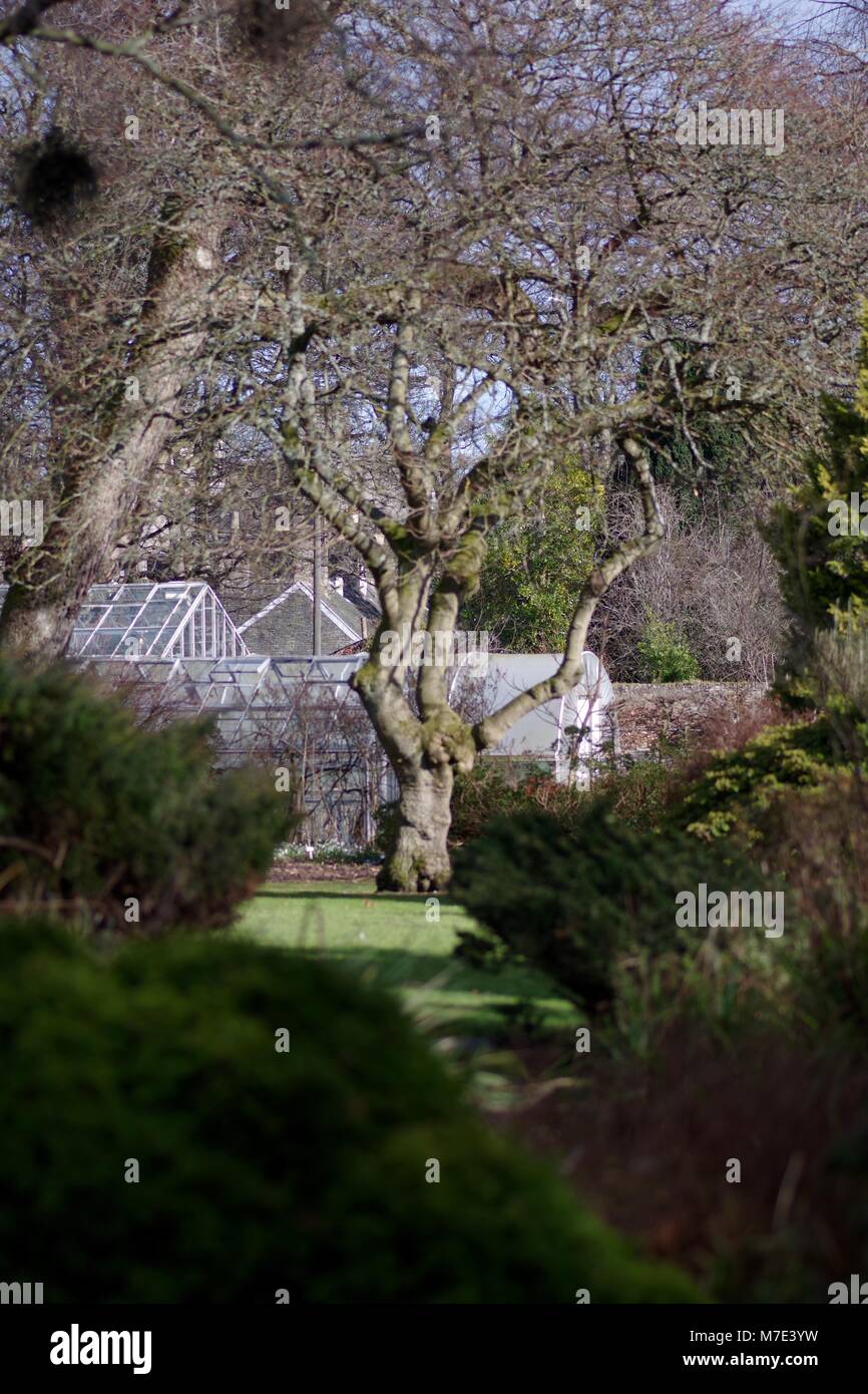 Cruickshank gardens hi-res stock photography and images - Alamy
