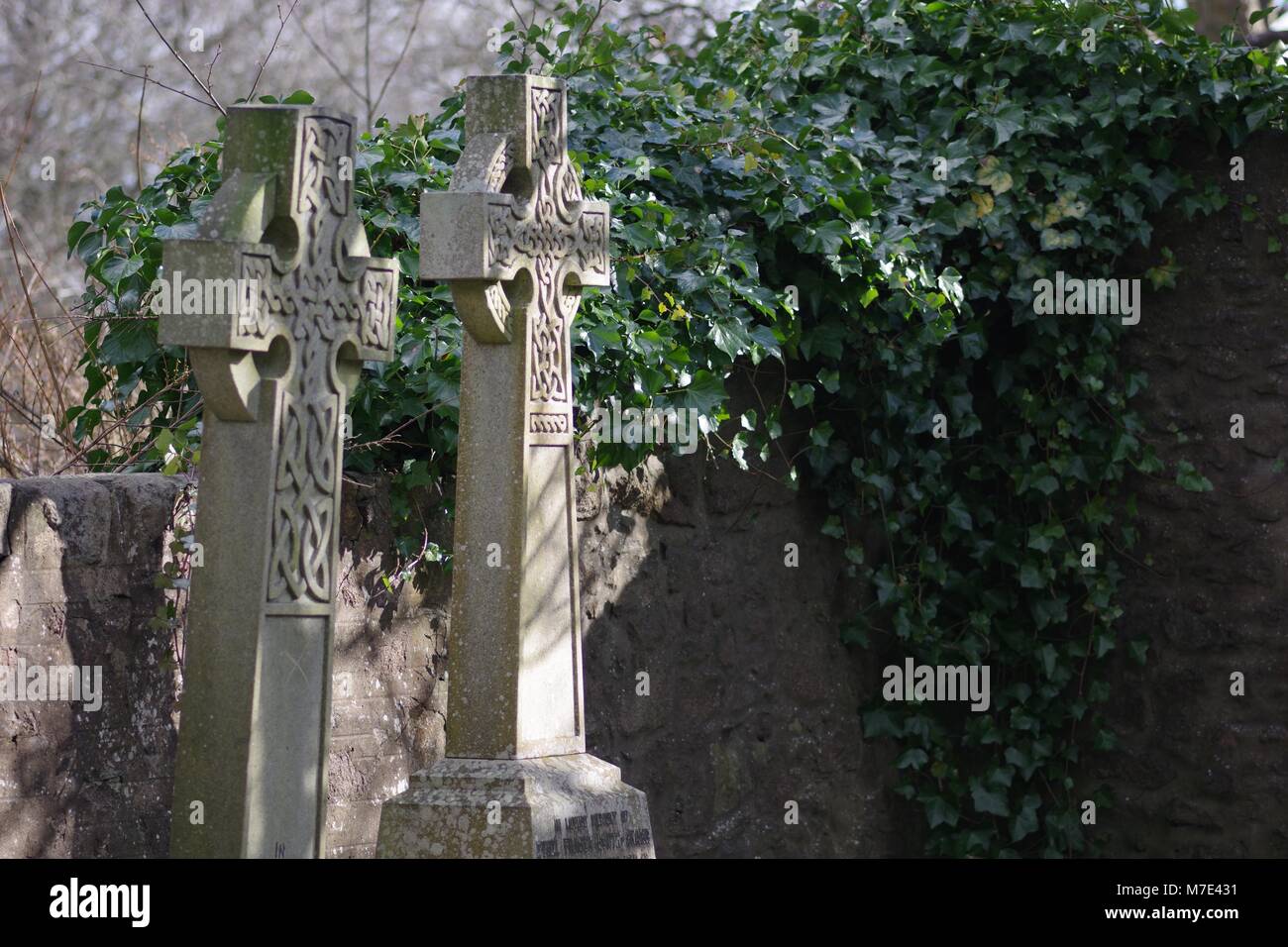 Carved Granite Celtic Cross. St Machars Cathedral Graveyard. Old ...