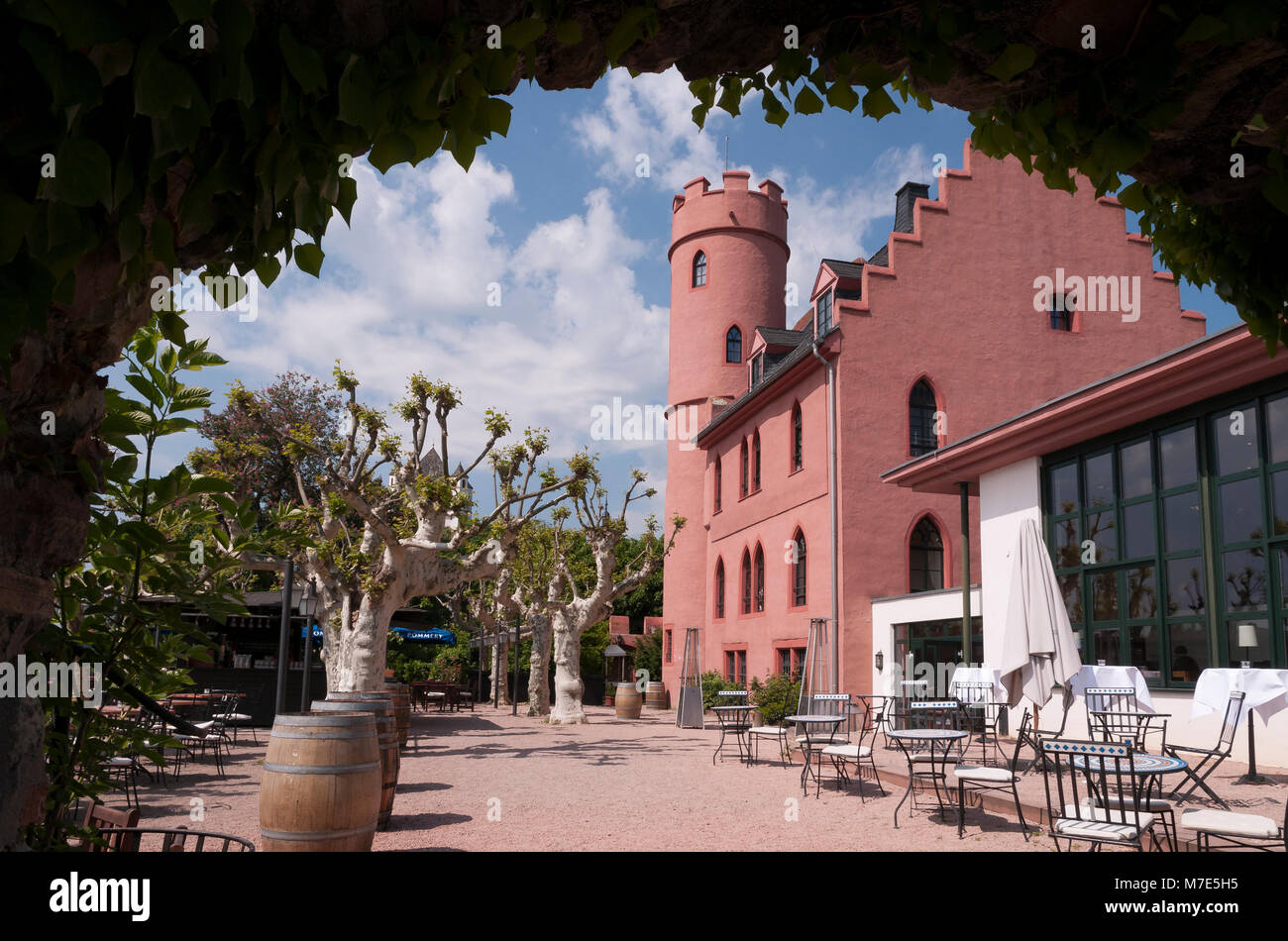 Burg Crass in Eltville, Rheingau, Hessen, Deutschland Stock Photo - Alamy