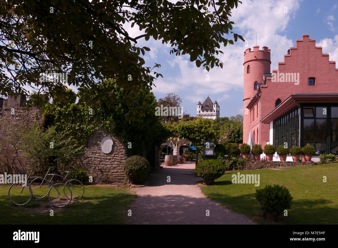 Burg Crass in Eltville, Rheingau, Hessen, Deutschland Stock Photo - Alamy