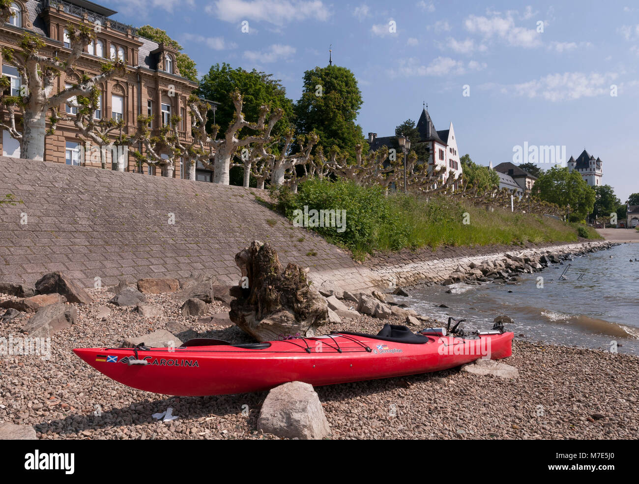 Eltville, Rheingau, Hessen, Deutschland Stock Photo - Alamy