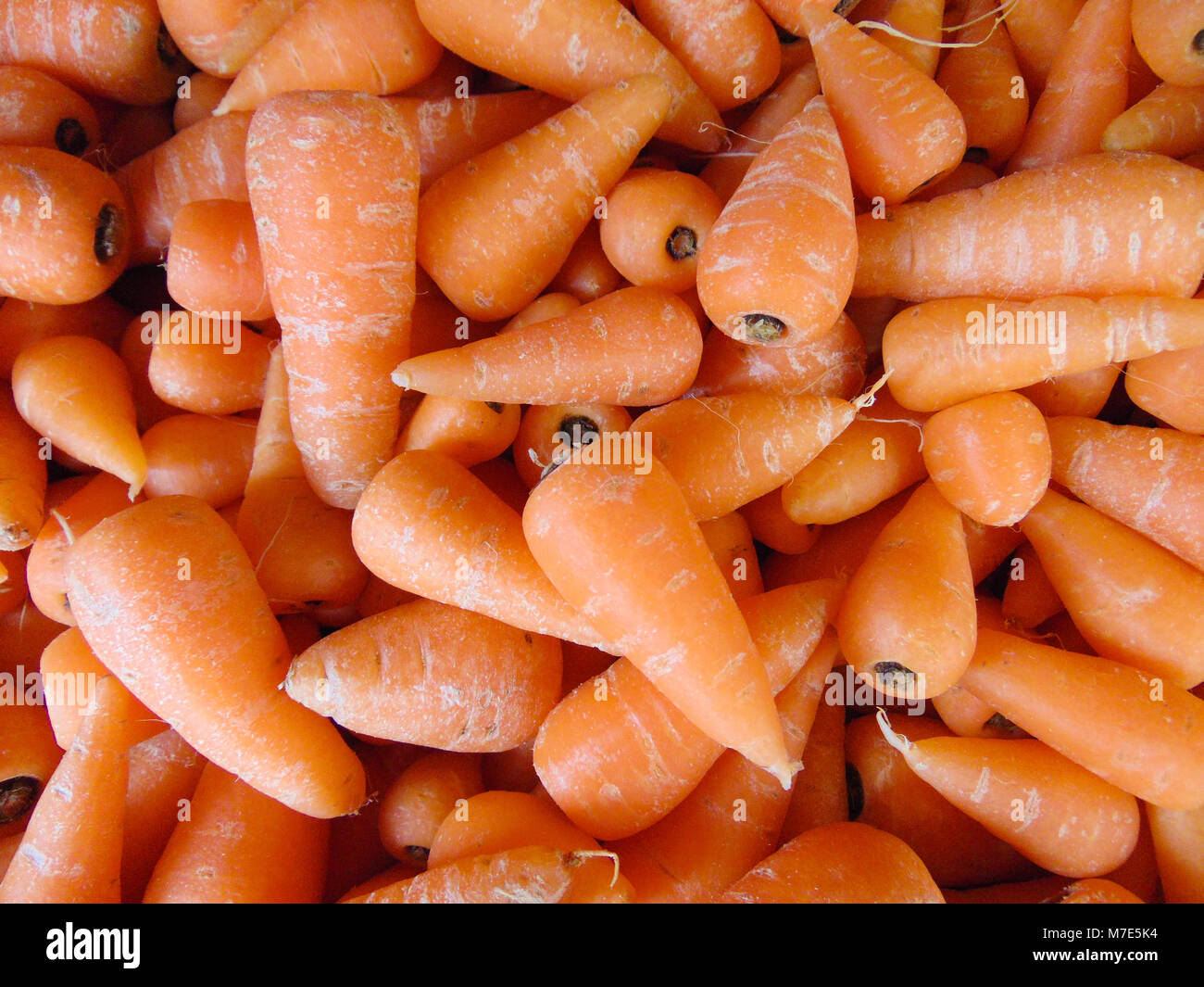 Farm shop carrots. Credit: Robert Slater Stock Photo - Alamy
