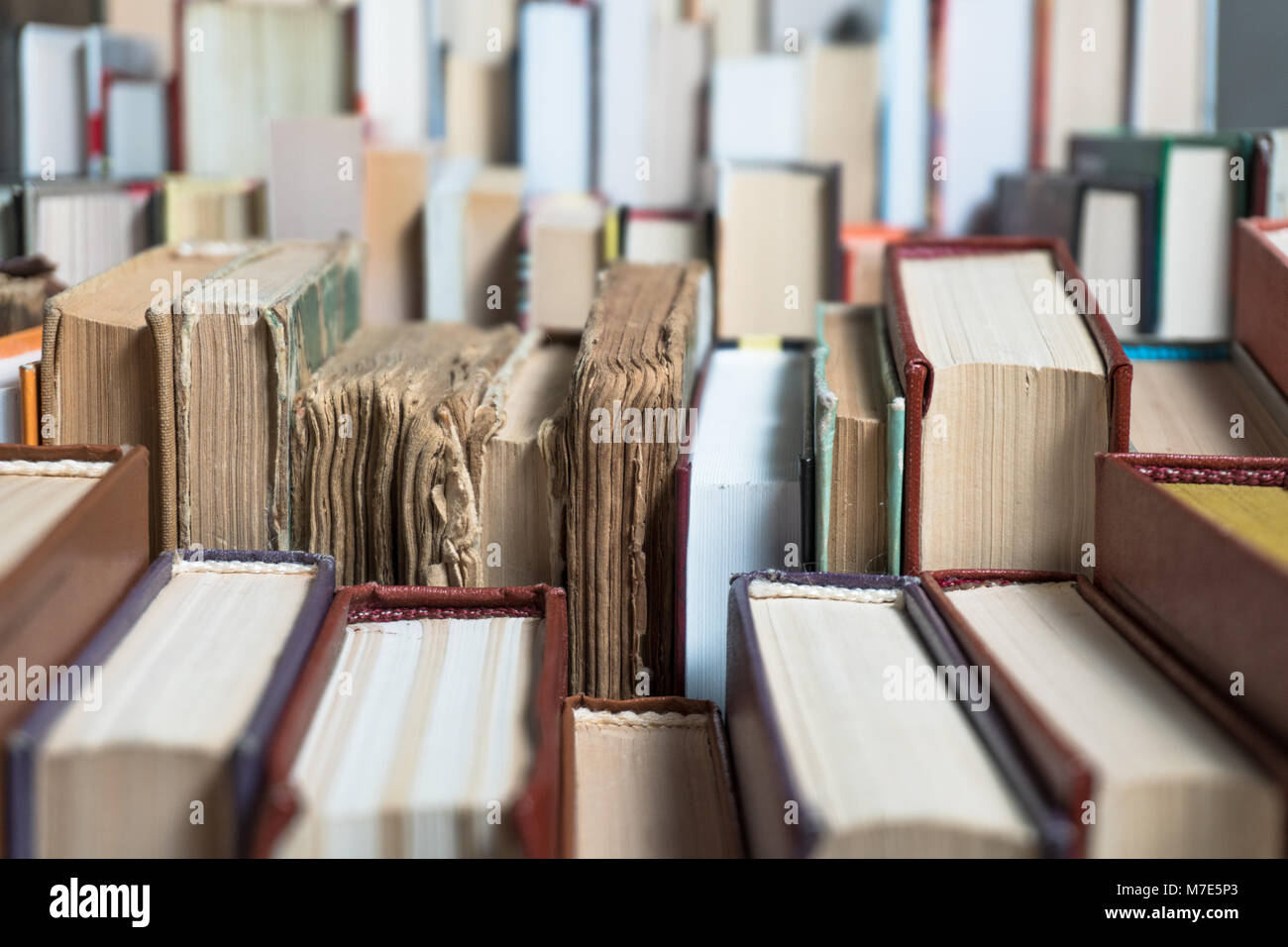 Many books in a bookstore or library Stock Photo - Alamy