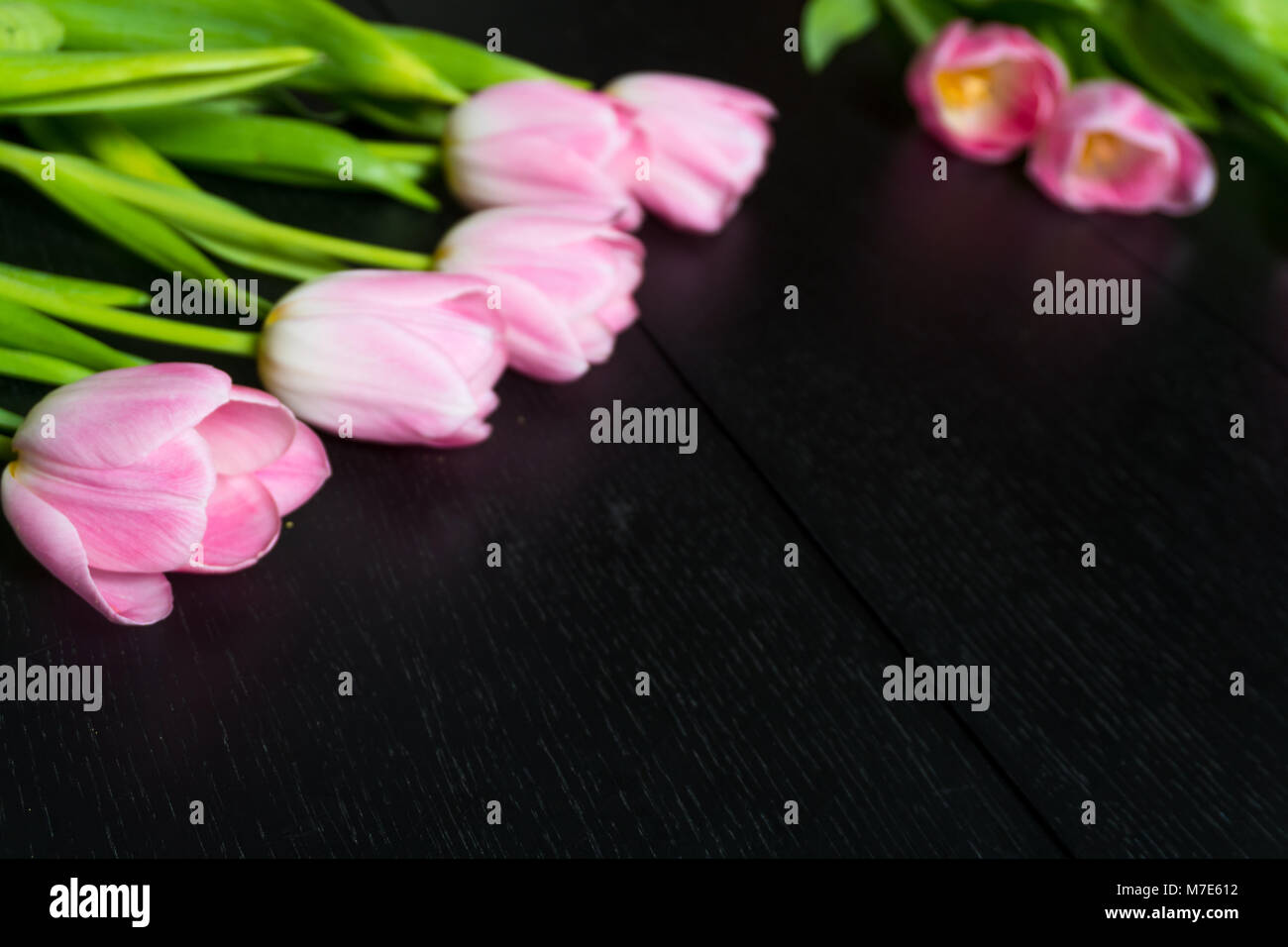Border from bright pink tulips flowers on black wooden background ...