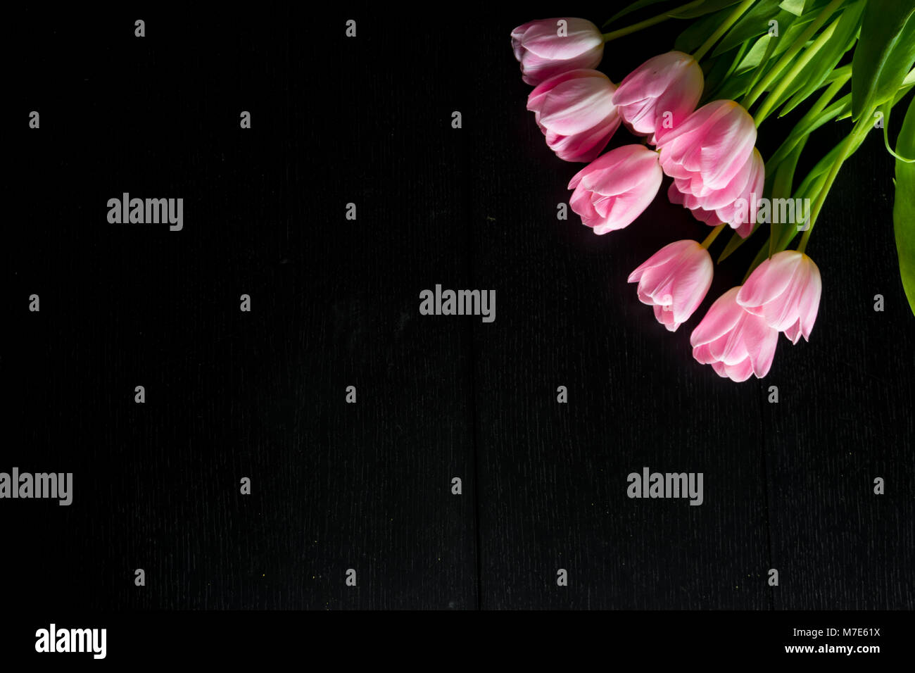 Border from bright pink tulips flowers on black wooden background Stock ...