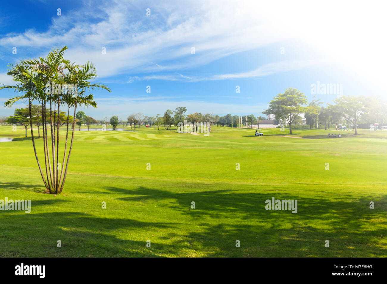 Beautiful golf course summer landscape Stock Photo - Alamy