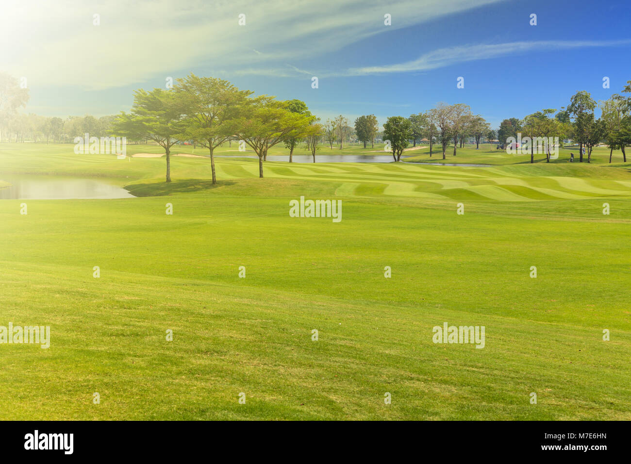 Beautiful golf course summer landscape Stock Photo - Alamy