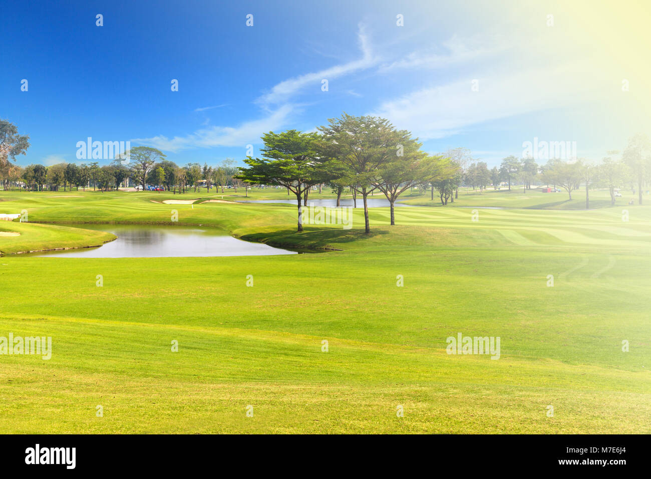 Beautiful golf course summer landscape Stock Photo - Alamy